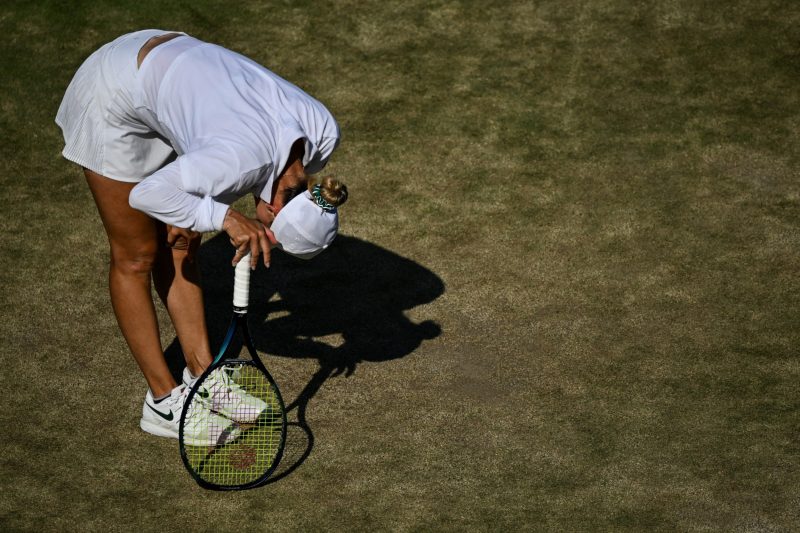 Dramatic. Ana Bogdan salvează șase mingi de meci, ratează cinci la rândul ei, cedează un meci ...